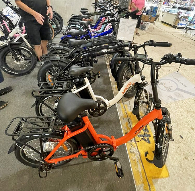 Electric bikes lined up like eager puppies waiting for adoption. The orange one practically screams "Take me home and let's have adventures!"