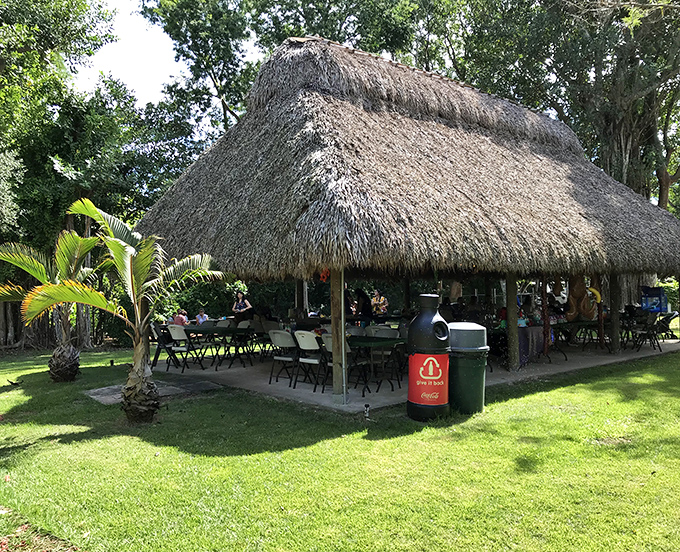 This thatched-roof bohío offers welcome shade and a spot to contemplate how monkeys have a better work-life balance than most humans. 