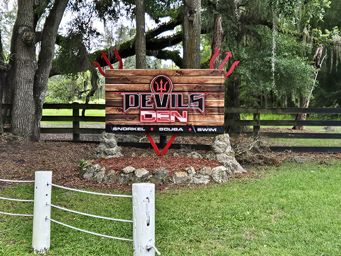 Not all treasures need buried—this one's clearly marked! The wooden sign welcomes explorers to Florida's subterranean wonder.