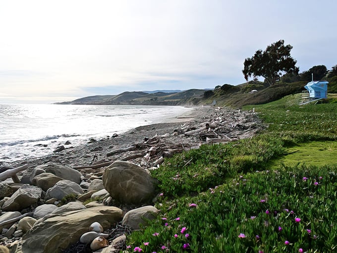 Where wildflowers and wilderness meet the endless blue. El Capitán's coastline stretches out like California's finest welcome mat.