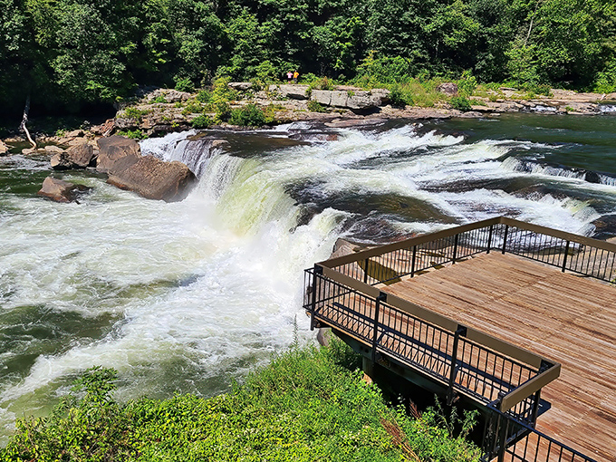 This viewing platform isn't just practical—it's front-row seating to Mother Nature's most thrilling water show. The Youghiogheny doesn't whisper, it roars.