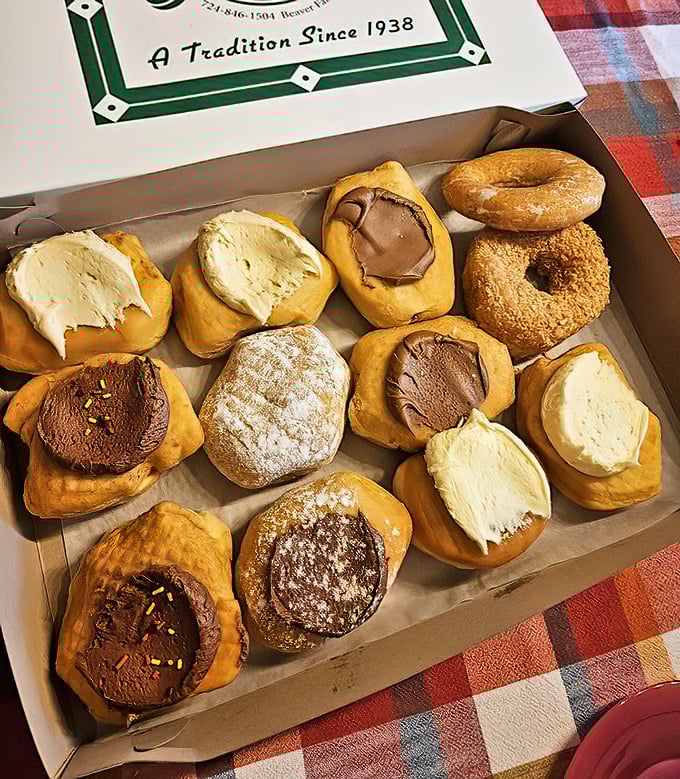 Behold the box of dreams! These aren't just donuts—they're edible time machines transporting you back to when calories didn't exist and joy came frosted. 