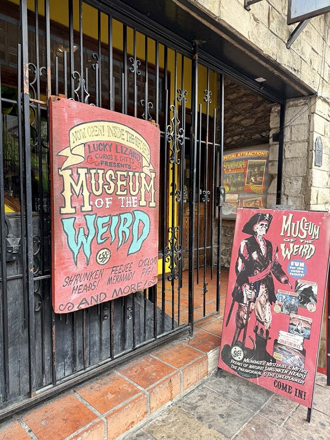 The carnival-style entrance signs promise shrunken heads and mermaids. Like a state fair midway, if the state fair were run by the Addams Family.
