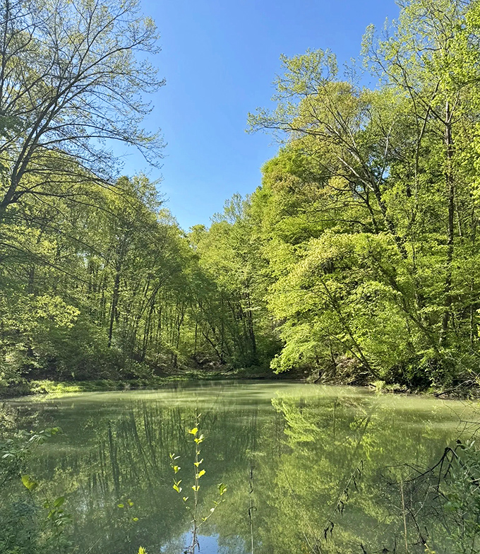 Fallon Park Loop - Nature's mirror reflects spring's green debut, creating Instagram-worthy scenes without needing any fancy filters whatsoever.