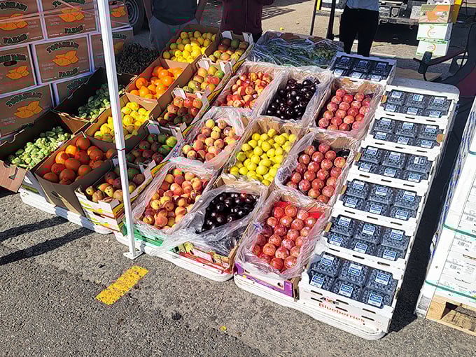 Fruit box tetris at its finest. Each crate offers a different sweet promise—ruby cherries, golden peaches, and blueberries that could make any pancake weep with joy.