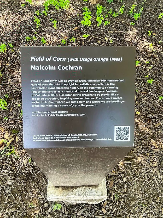 Artist Malcolm Cochran's plaque reveals the method behind the maize madness—a playful tribute to Dublin's farming heritage that's both memorial and roadside oddity.