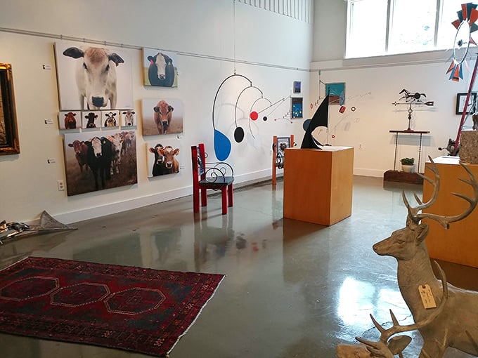 Where bovine meets divine—this gallery space blends contemporary art with antique elements, creating unexpected conversations between past and present.