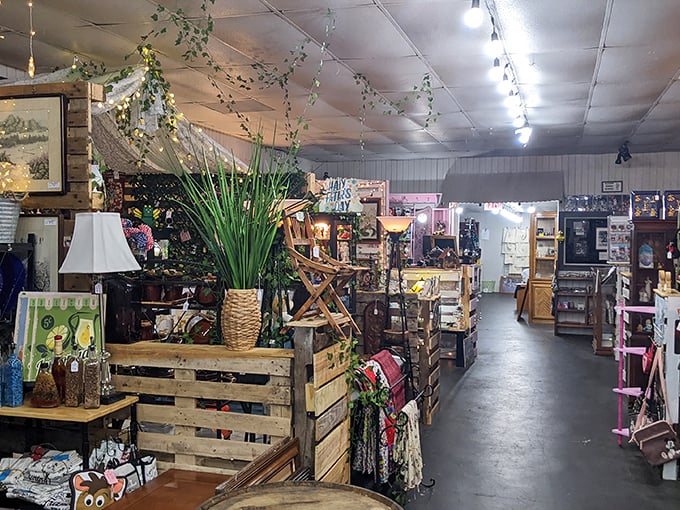 Step inside and time does a funny little dance. Wooden crates, twinkling lights, and pathways that beckon you deeper into this collector's labyrinth.