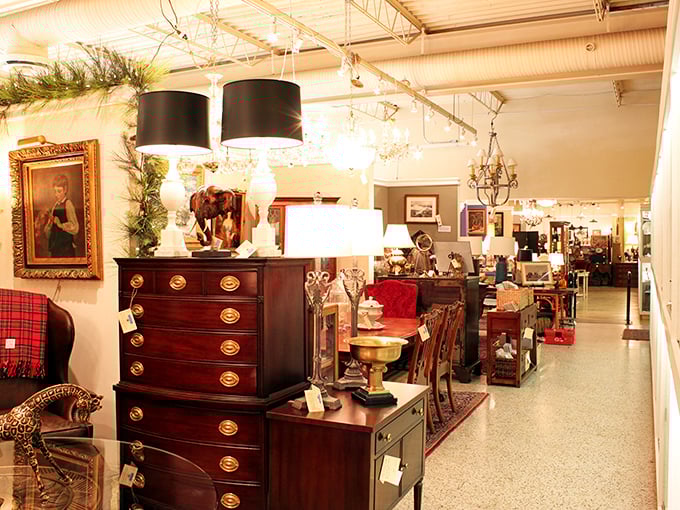 A mahogany chest of drawers stands at attention, surrounded by an entourage of lamps and accessories – the furniture equivalent of a well-dressed dinner party.