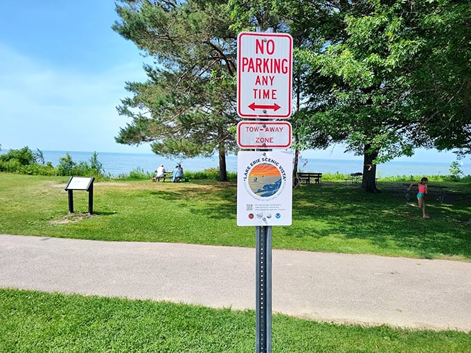 Even the "No Parking" signs can't detract from Lake Erie's beauty—proof that some views are worth risking a tow-away ticket.