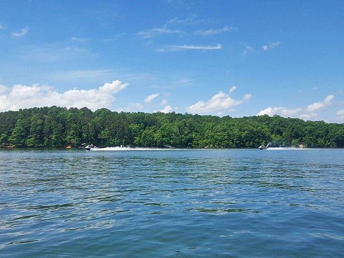 Lake Hartwell isn't just a body of water—it's Anderson's 56,000-acre playground. Nothing says "retirement well spent" like watching boats zip across waters that sparkle like diamonds.