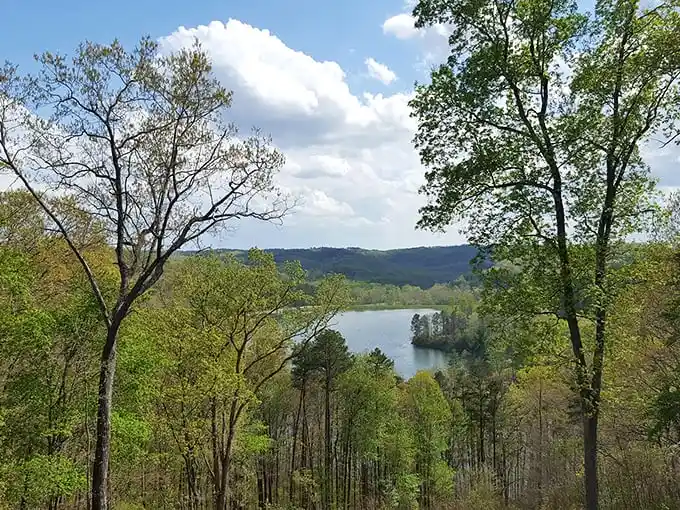 Nature's balcony view: where trees part like curtains to reveal Lake Hope's sparkling stage below.