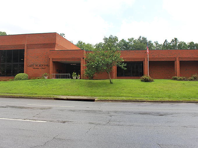 The Lake Blackshear Regional Library isn't just about books—it's a community hub where retirees find both intellectual stimulation and new friends.