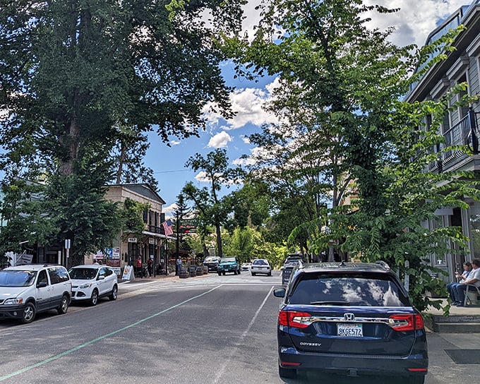 Dappled sunlight, historic buildings, and zero traffic jams – Murphys' tree-lined Main Street feels like stepping into a Norman Rockwell painting with wine.
