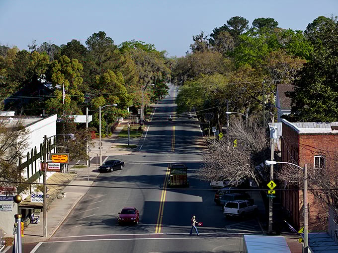 Tree-lined streets that make you want to slow down and breathe deeper—Monticello's canopy roads are nature's answer to cathedral ceilings.