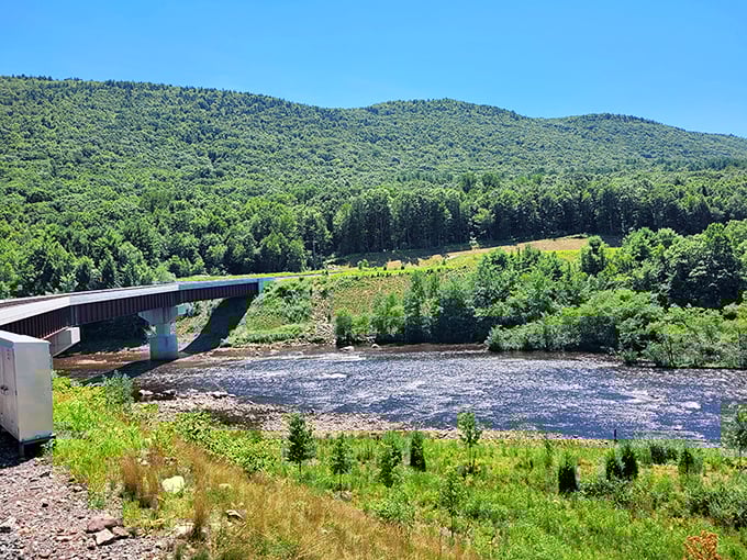 Mother Nature and engineering genius shake hands at this bridge crossing, where the Lehigh River sparkles beneath like nature's own welcome committee.