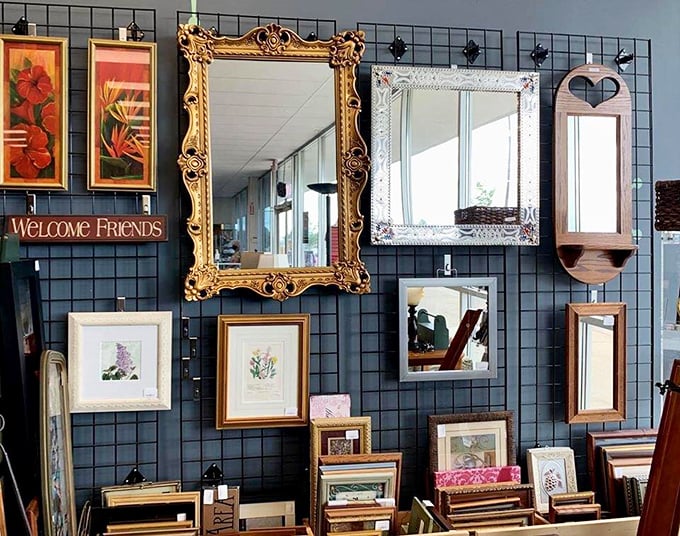 Mirror, mirror on the wall, who's the thriftiest of them all? These ornate frames transform ordinary reflections into statement pieces worthy of royal treatment.
