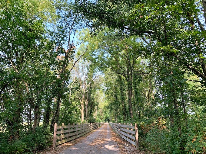 Nature's air conditioning comes free of charge on the Monon Trail, where towering trees create a cathedral-like canopy for walkers, joggers, and daydreamers alike.
