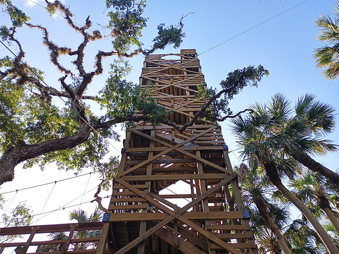 This wooden observation tower isn't just a climb—it's a time machine to when Florida was wild and Instagram filters weren't necessary.