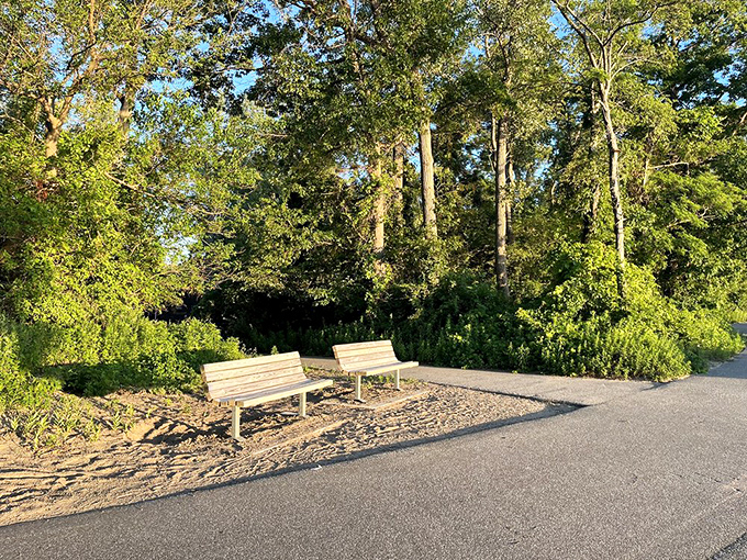 Sometimes the best conversations happen on benches overlooking nature's daily masterpiece.