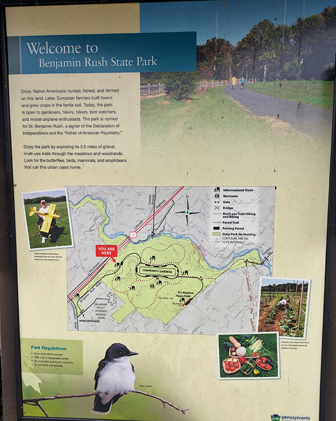 Maps never capture the adventure, but this one tries its best. Like life's journey, the best parts of Benjamin Rush happen when you wander off the planned route.