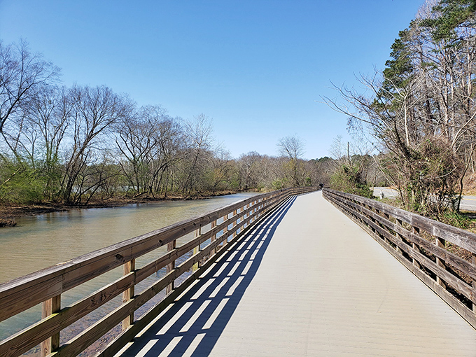 Winter's bare branches frame the view like nature's own Instagram filter, proving every season has its moment on the Riverwalk.