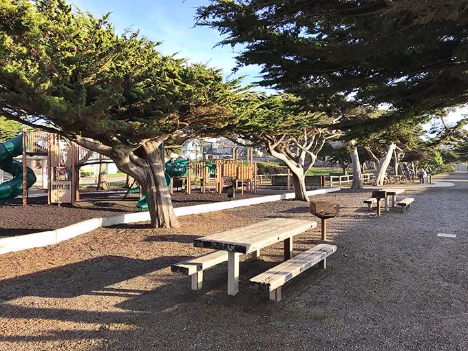 Those cypress trees have seen it all—picnics, proposals, and probably a few kids learning to ride bikes beneath their watchful branches.