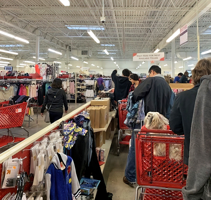 The true spirit of thrifting captured in one shot—shoppers intently focused on potential finds, red carts at the ready for unexpected treasures.
