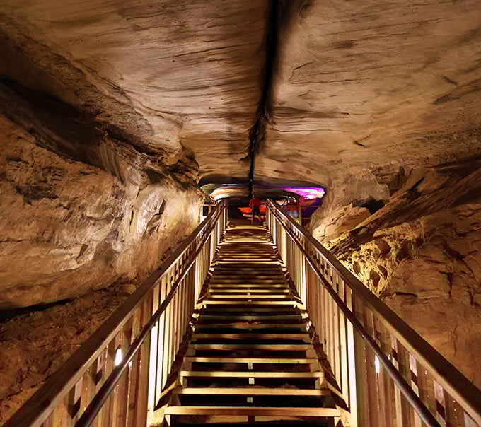 Stairway to… somewhere much cooler than heaven, at least temperature-wise. These steps lead to a subterranean world where time stands still. 