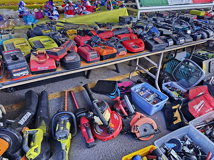 A DIY enthusiast's dream come true! Milwaukee, Ryobi, and DeWalt tools lined up like soldiers ready for their next mission.