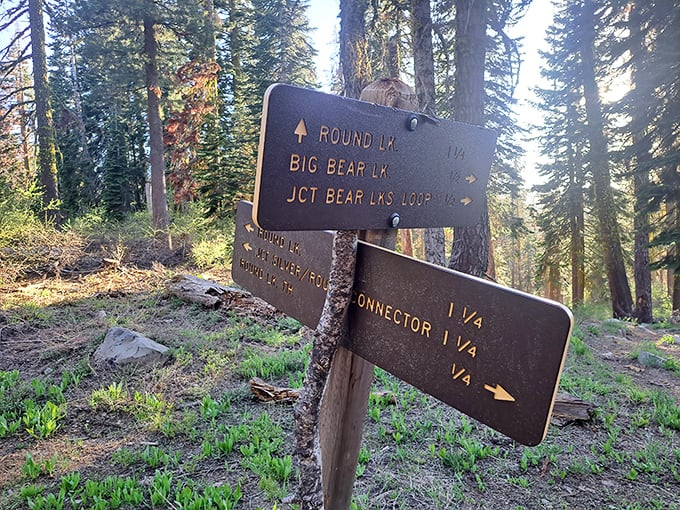 Choose your own adventure! These weathered trail signs point to wilderness treasures that won't show up on your Instagram algorithm.