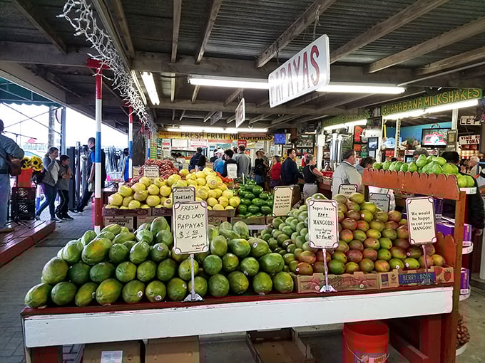 Nature's color wheel on full display. Those mangoes aren't just stacked—they're practically posing for their tropical fruit yearbook photo. 