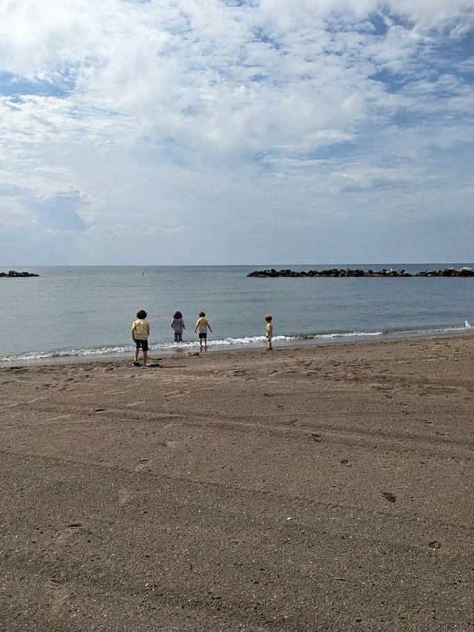 Little explorers test the waters of Lake Erie, proving that childhood wonder needs no ocean—just sand, water, and endless possibilities.