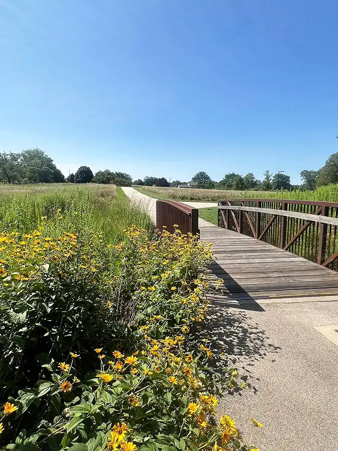 Wildflowers stand guard along this wooden boardwalk, nature's own red carpet leading visitors deeper into the artistic wilderness.