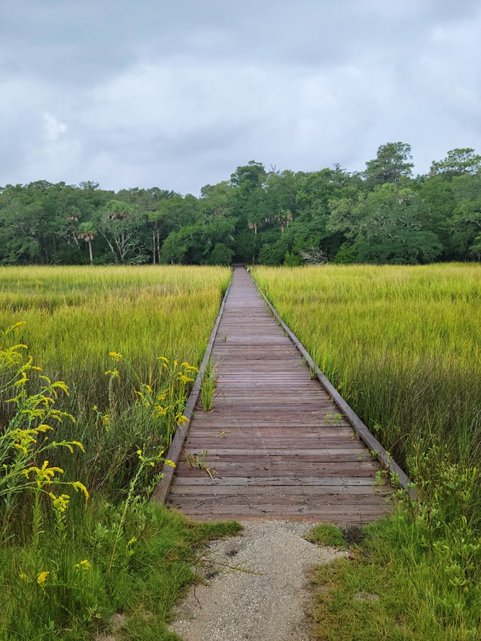 Wooden boardwalks through golden marshgrass—where every step forward is also a step back in time to before emails and deadlines existed. 