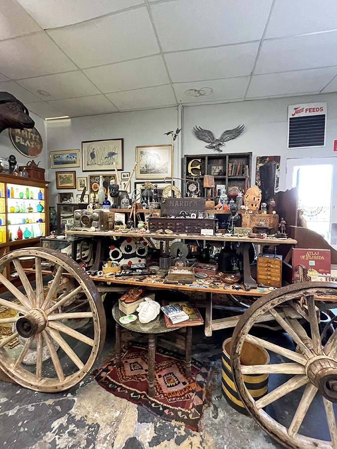 Where wagon wheels meet vintage treasures – this display could tell tales of Florida's frontier days if only it could talk.