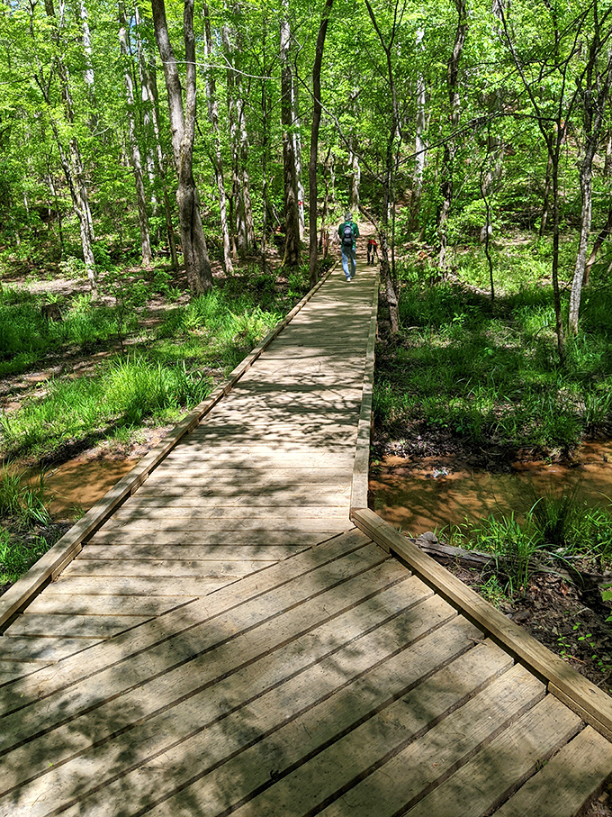 This boardwalk through the wetlands proves that sometimes the best path in life is literally laid out for you—just follow the wooden planks to tranquility.