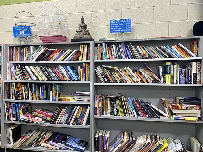 Books stacked like stories waiting to be continued, with a Buddha figurine keeping watch—perhaps meditating on which literary journey you'll take home today.
