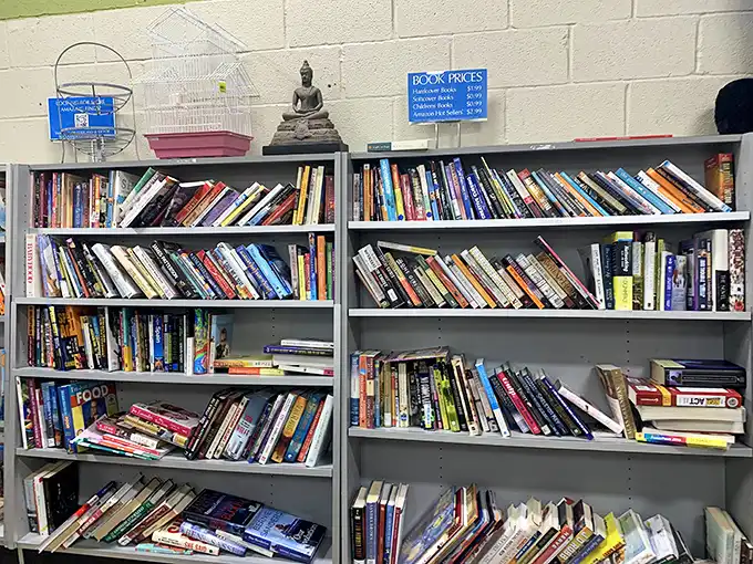 Books stacked like stories waiting to be continued, with a Buddha figurine keeping watch—perhaps meditating on which literary journey you'll take home today.