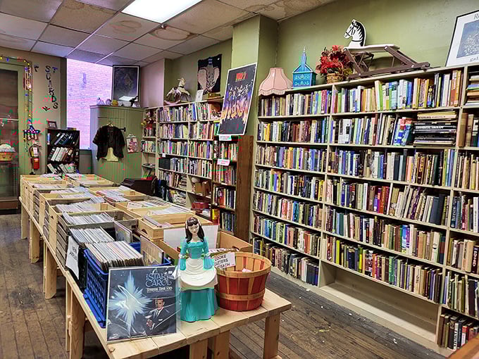 A bibliophile's dream come true—where vintage vinyl meets rare books, and you'll swear you can smell the stories waiting to be rediscovered.