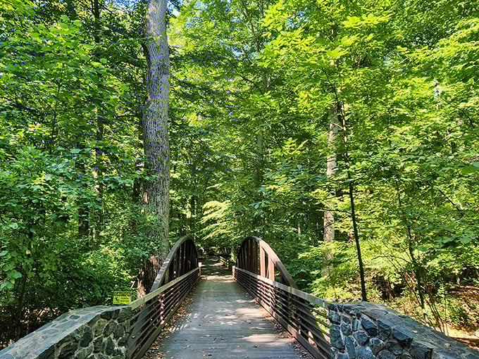 This wooden bridge doesn't just connect two trails – it connects you to the childhood feeling of adventure that never quite leaves us.