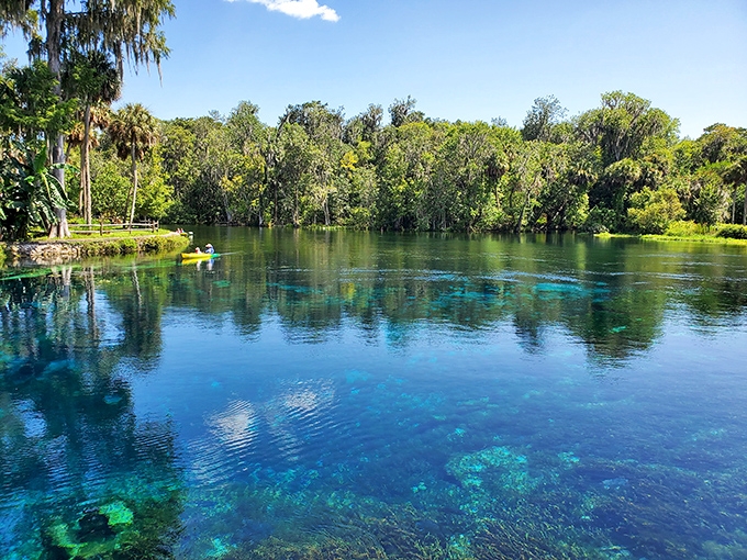 Water so clear it looks Photoshopped. Mother Nature showing off her best work while fish swim through liquid glass.
