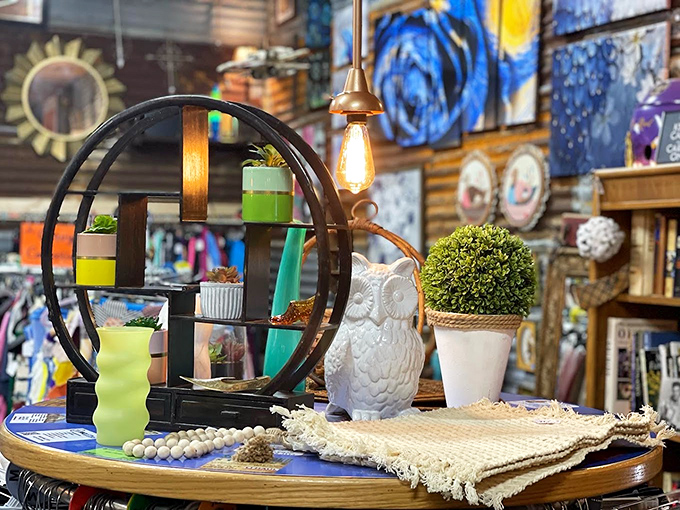 Every shelf tells a story here—ceramic owls, circular shelving, and potted greenery create vignettes worthy of the most stylish homes.