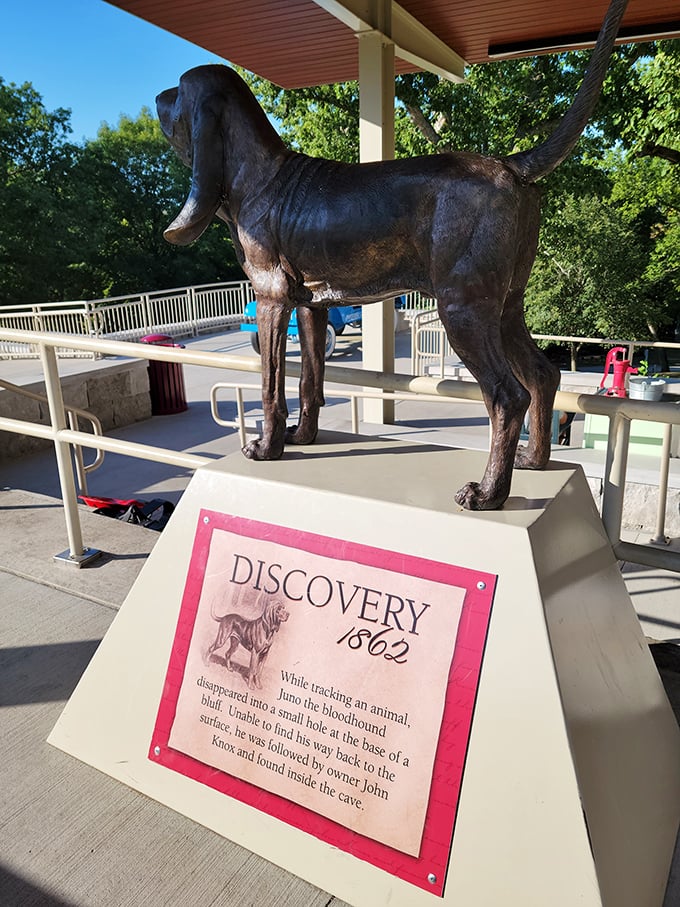The ultimate good boy who made history! This bronze tribute honors the dog who accidentally discovered Fantastic Caverns while chasing critters in 1862.