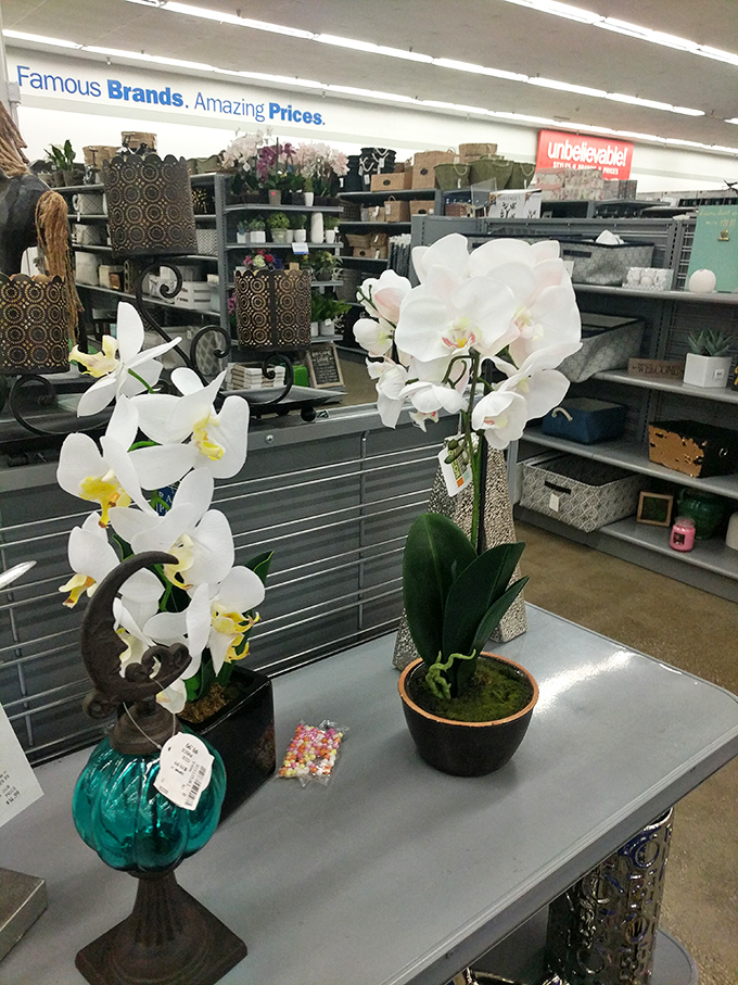 Faux orchids that never need watering—one of life's little luxuries at bargain prices. Home decor that keeps on blooming.