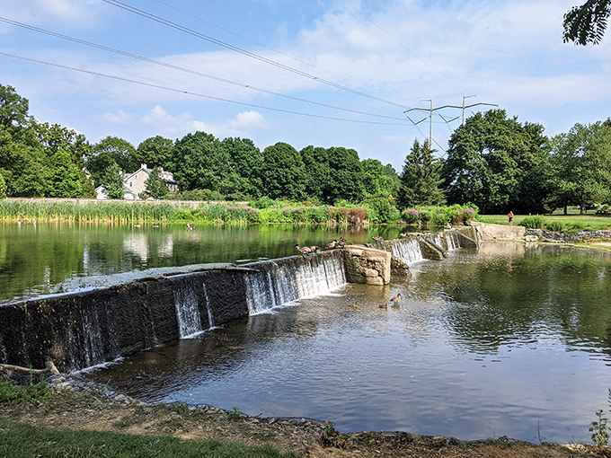 Nature's own white noise machine creates the perfect soundtrack for bridge contemplation and creek-side daydreaming sessions.