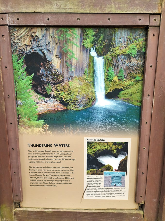 "Thundering Waters" indeed! This informational sign reveals the geological backstory of Toketee's formation—nature's patient artistry spanning thousands of years.