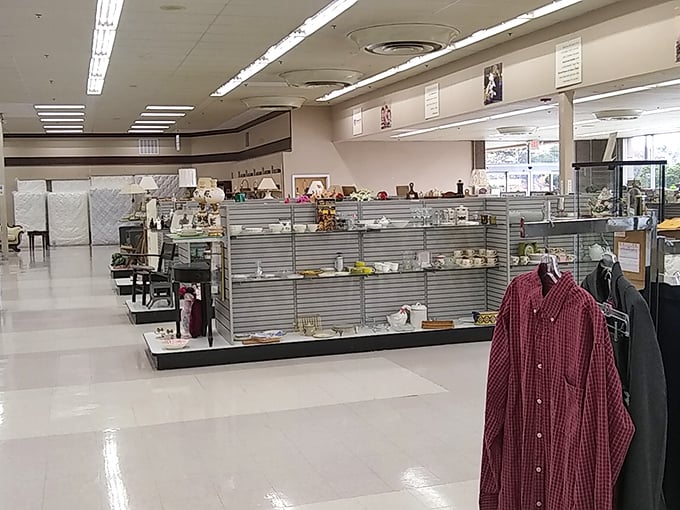 Spacious aisles and organized displays make treasure hunting a pleasure rather than a chore. No Indiana Jones machete required!