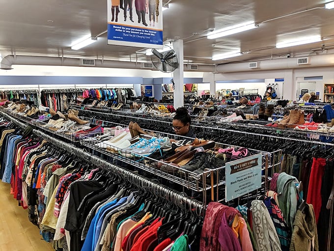 Organized chaos never looked so inviting – it's like a department store that forgot about markup.