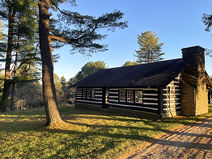 This historic log cabin stands as a rustic time capsule amid the park's natural splendor, bathed in golden afternoon light.